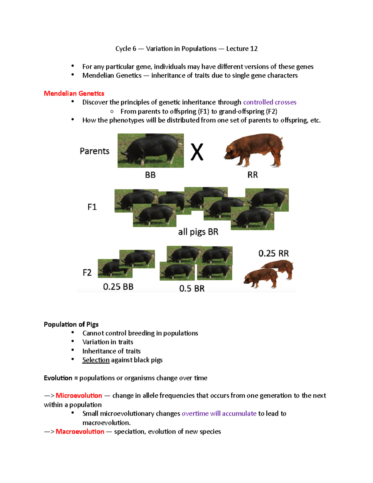Cycle 6 lecture 12: Variation in Populations - Cycle 6 — Variation in ...