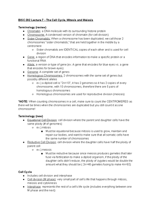 Cell Cycle Mitosis Meiosis Worksheet - Name: Daviyunna Reese The Cell ...