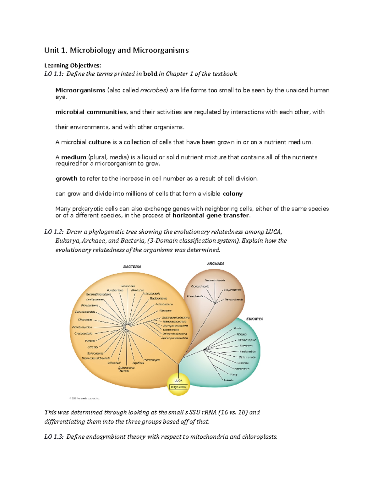 Unit 1. Microbiology and Microorganisms - Unit 1. Microbiology and ...