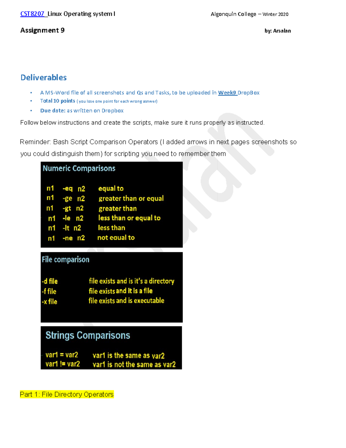 LAB9 working with Bash Script - Assignment 9 by: Arsalan Deliverables A MS-Word file of all ...