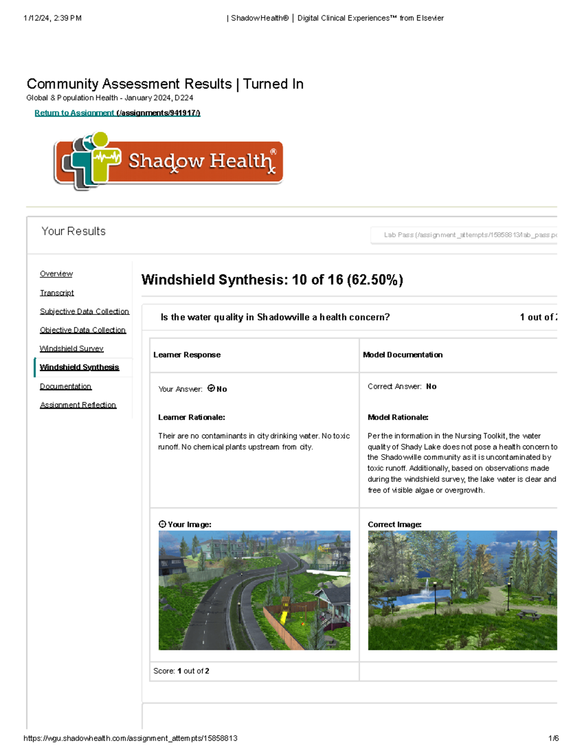Windshield An - Community Assessment Results | Turned In Global ...