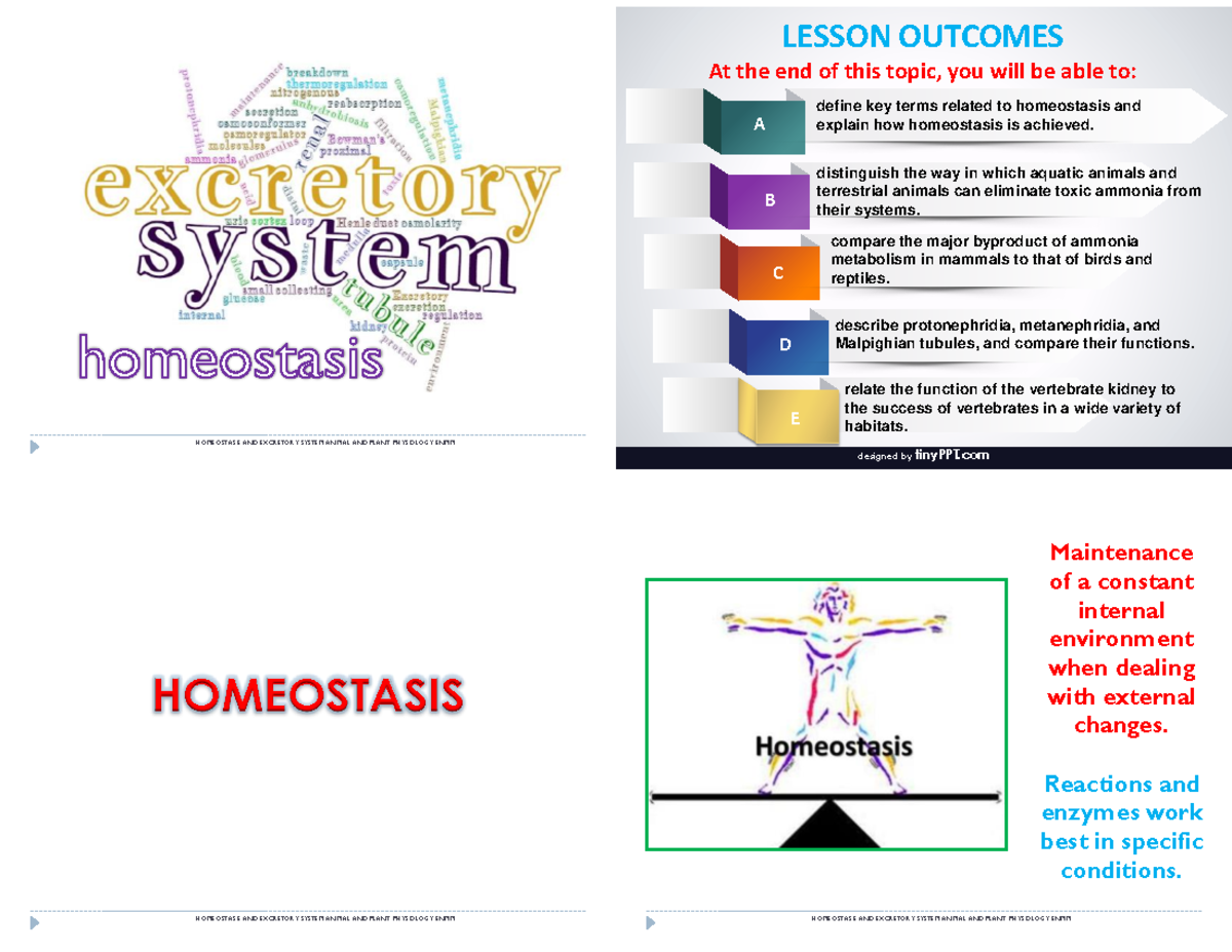 Chapter 1 - a notes for every science students - HOMEOSTASIS AND ...