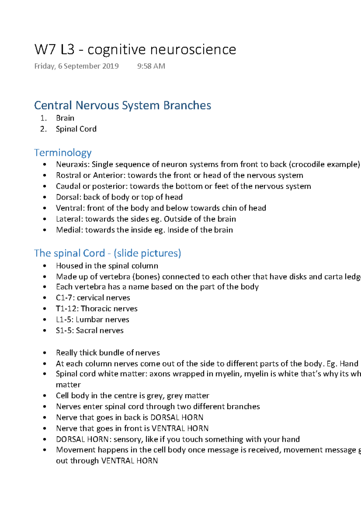 W7 L3 - cognitive neuroscience - Warning: TT: undefined function: 32 Central Nervous System ...