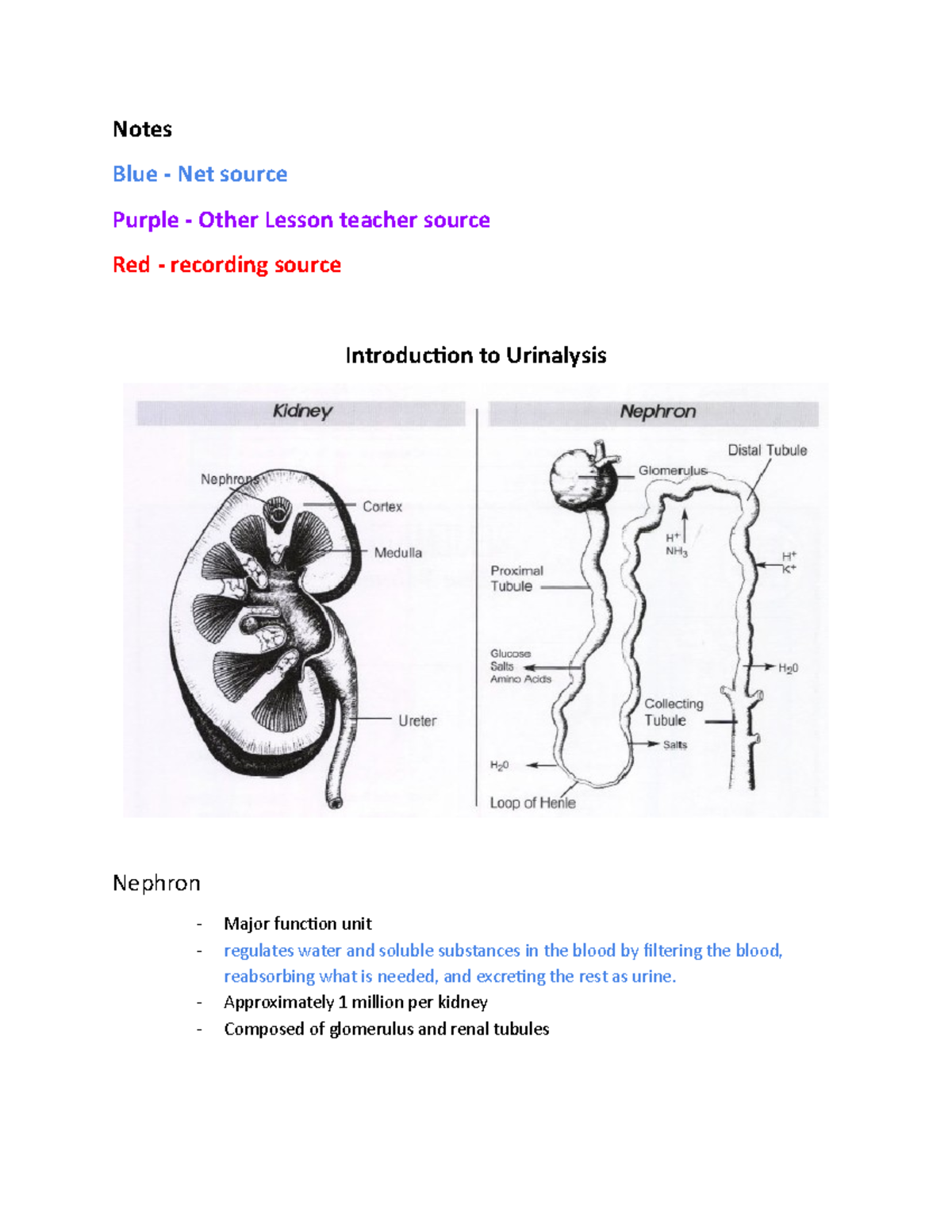 AUBF Review Notes - Notes Blue - Net source Purple - Other Lesson ...
