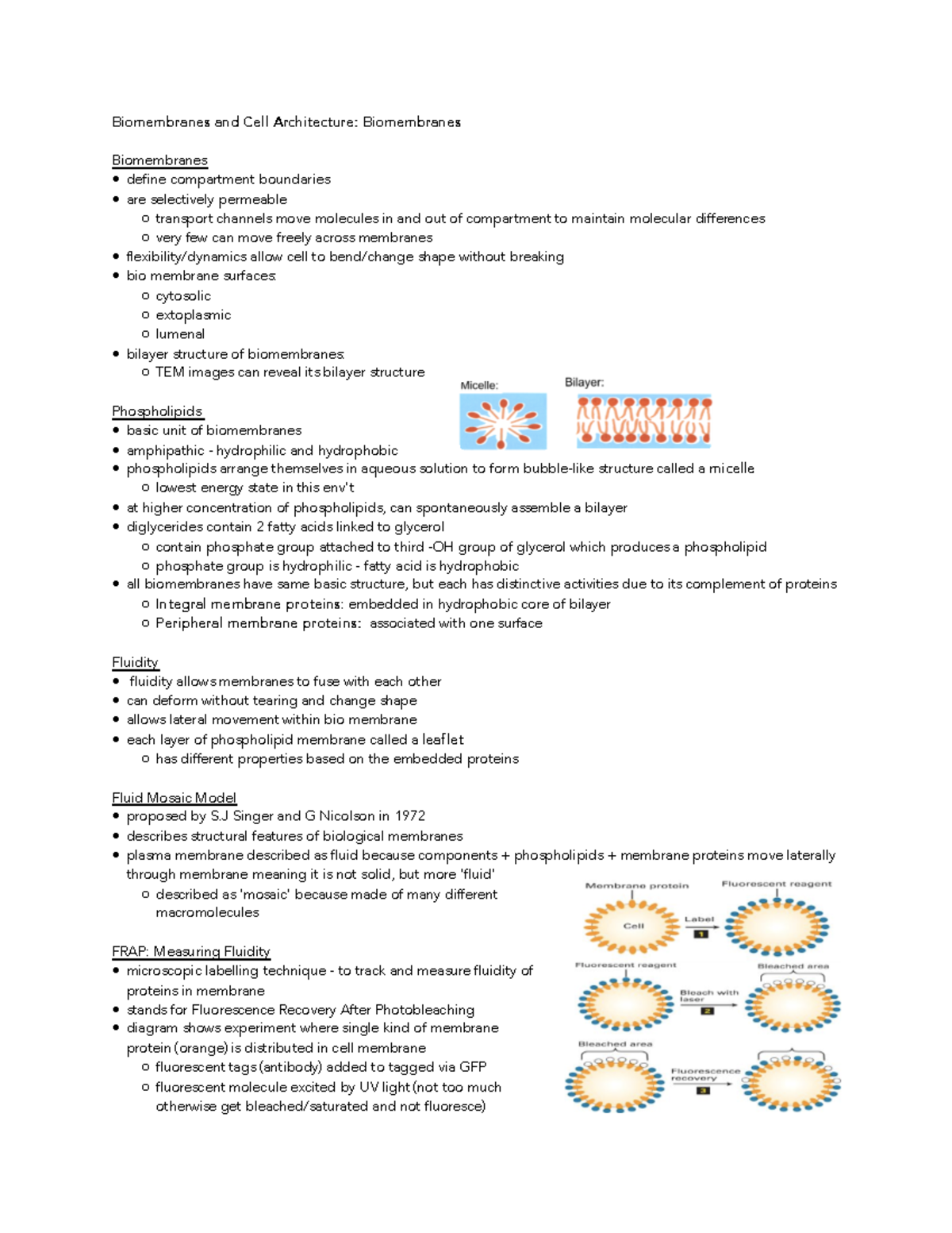Module 3 Lecture 3 - Biomembranes and Cell Architecture: Biomembranes ...