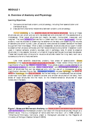 Anaph-LAB- Notes - ANAPHY NOTES FOR LABORATORY Anatomy (ah-NAT-oh-mee ...