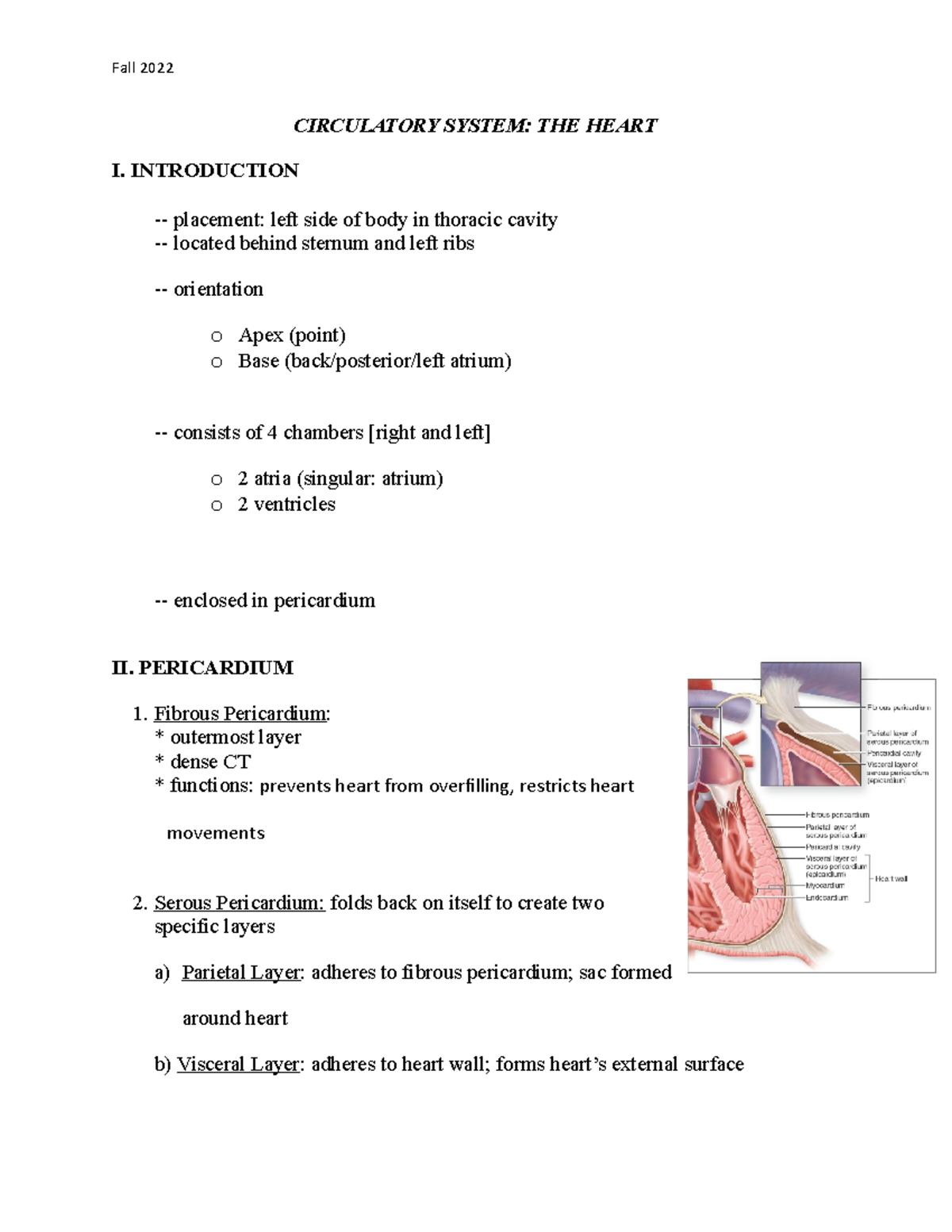 Heart - A215 Fall2022 - CIRCULATORY SYSTEM: THE HEART I. INTRODUCTION ...