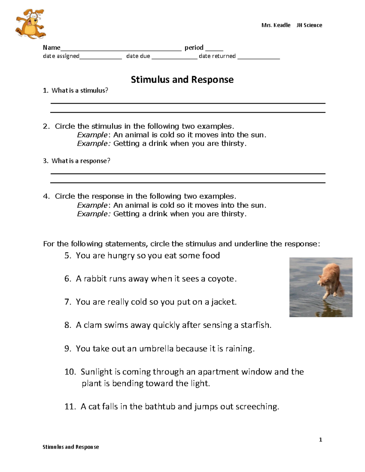 Stimulus and Response Questions 2014 - 1 Name ...