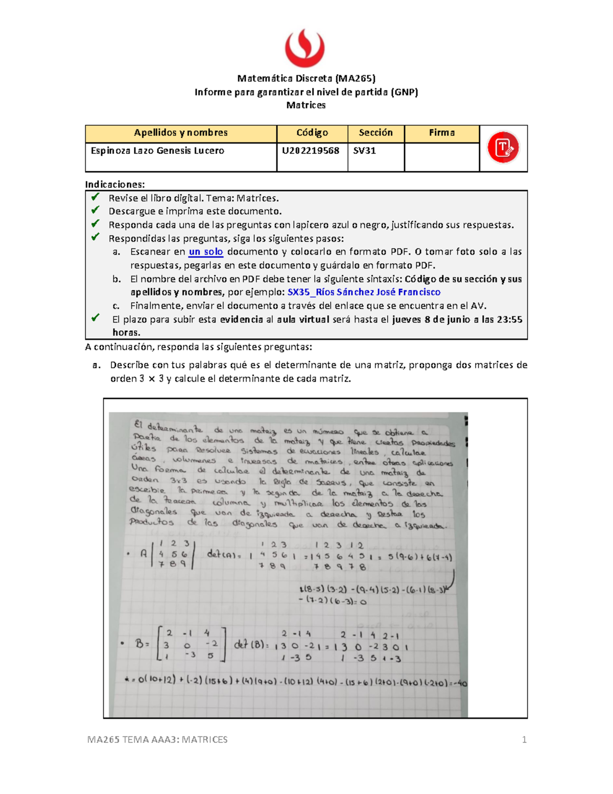 1. Antes Informe GNP AAA3 - MA265 TEMA AAA 3 : MATRICES 1 Matemática ...