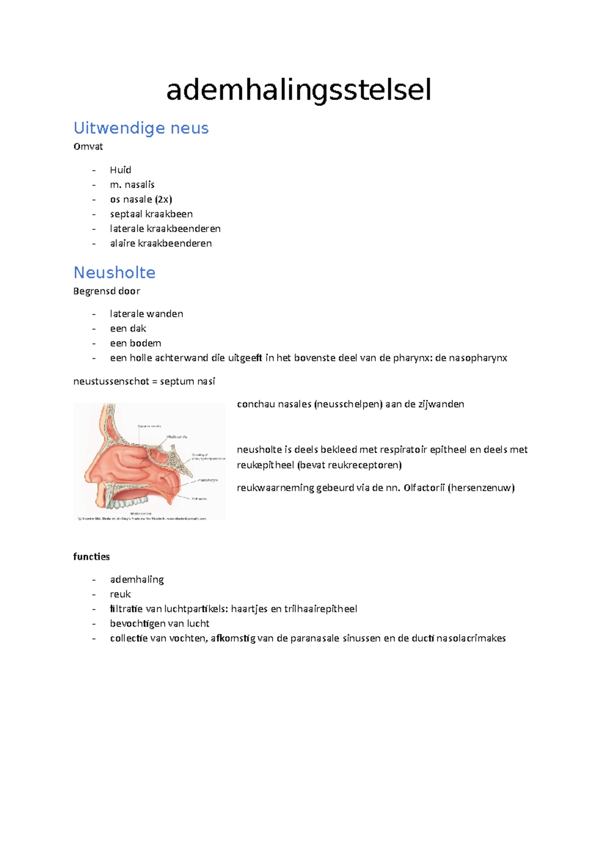Ademhalingsstelsel notes - ademhalingsstelsel Uitwendige neus Omvat ...