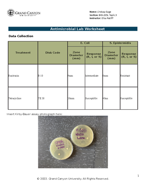 BIO-205L-RS-Microorg Human Infectious Diseases WS- Online- Tradonline ...