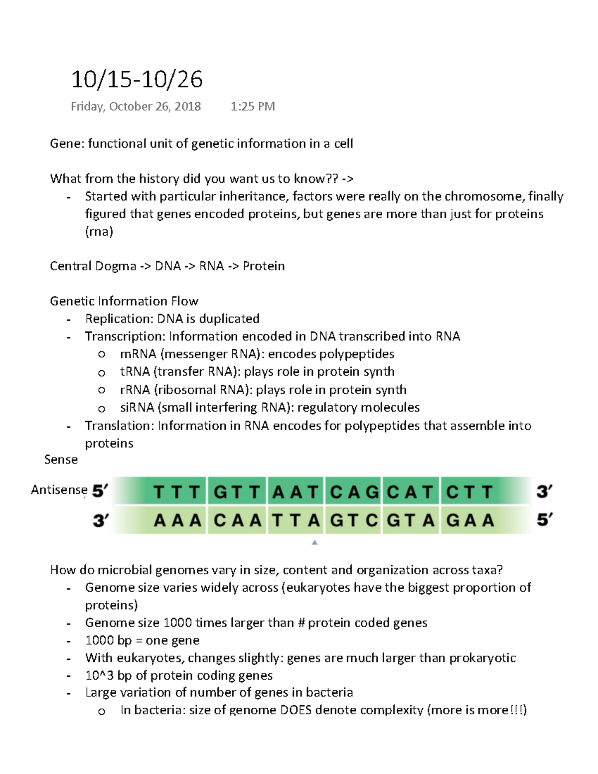 1015 And1026 Multiple Lecture Notes Warning Tt Undefined Function 32 Gene Functional Unit