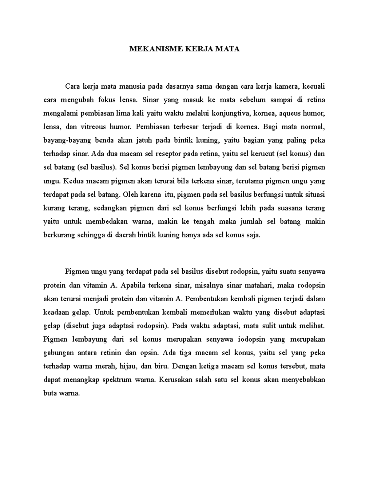 Mekanisme Kerja Mata - MEKANISME KERJA MATA Cara kerja mata manusia ...
