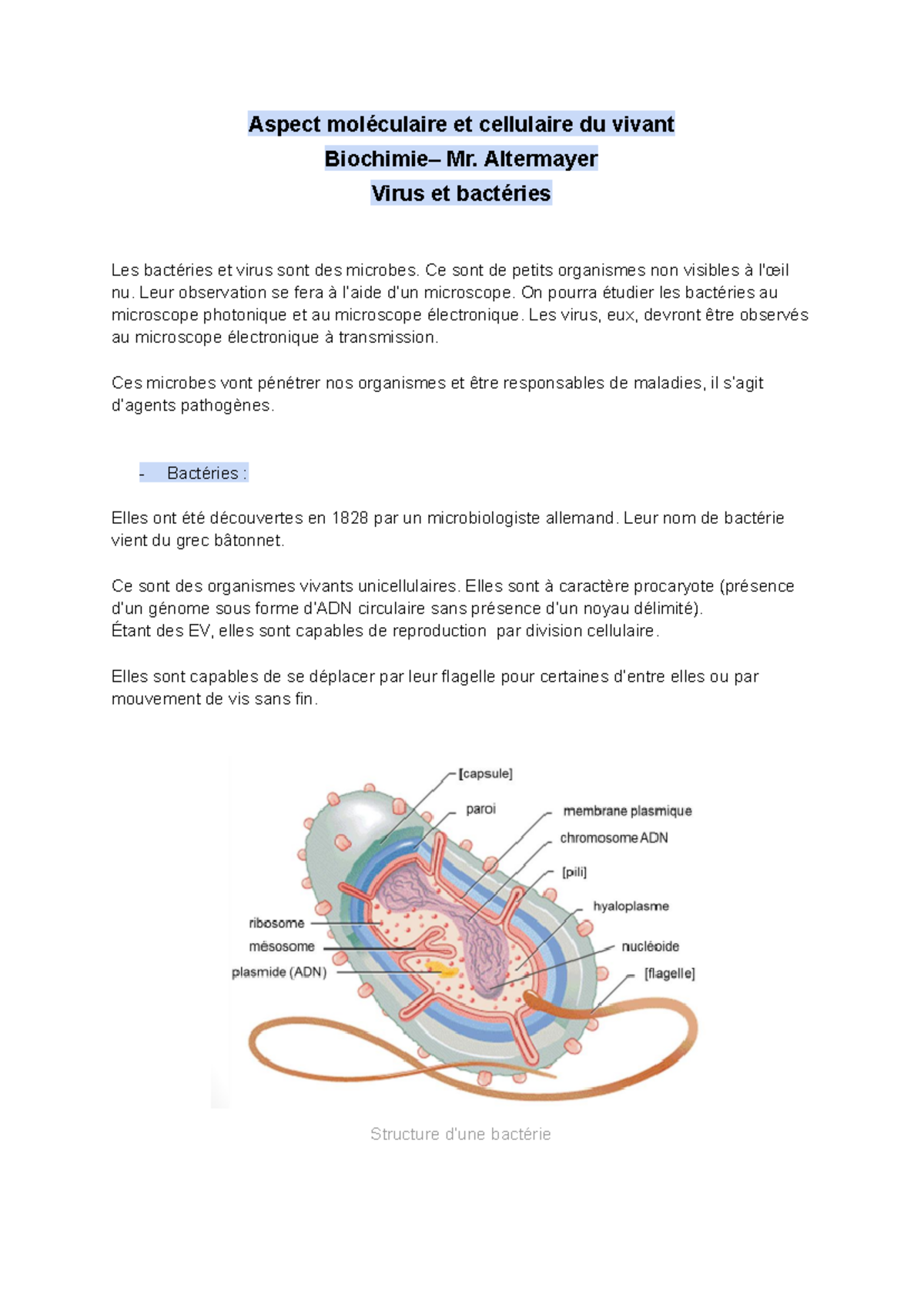 CM virus et bactéries - Aspect moléculaire et cellulaire du vivant ...