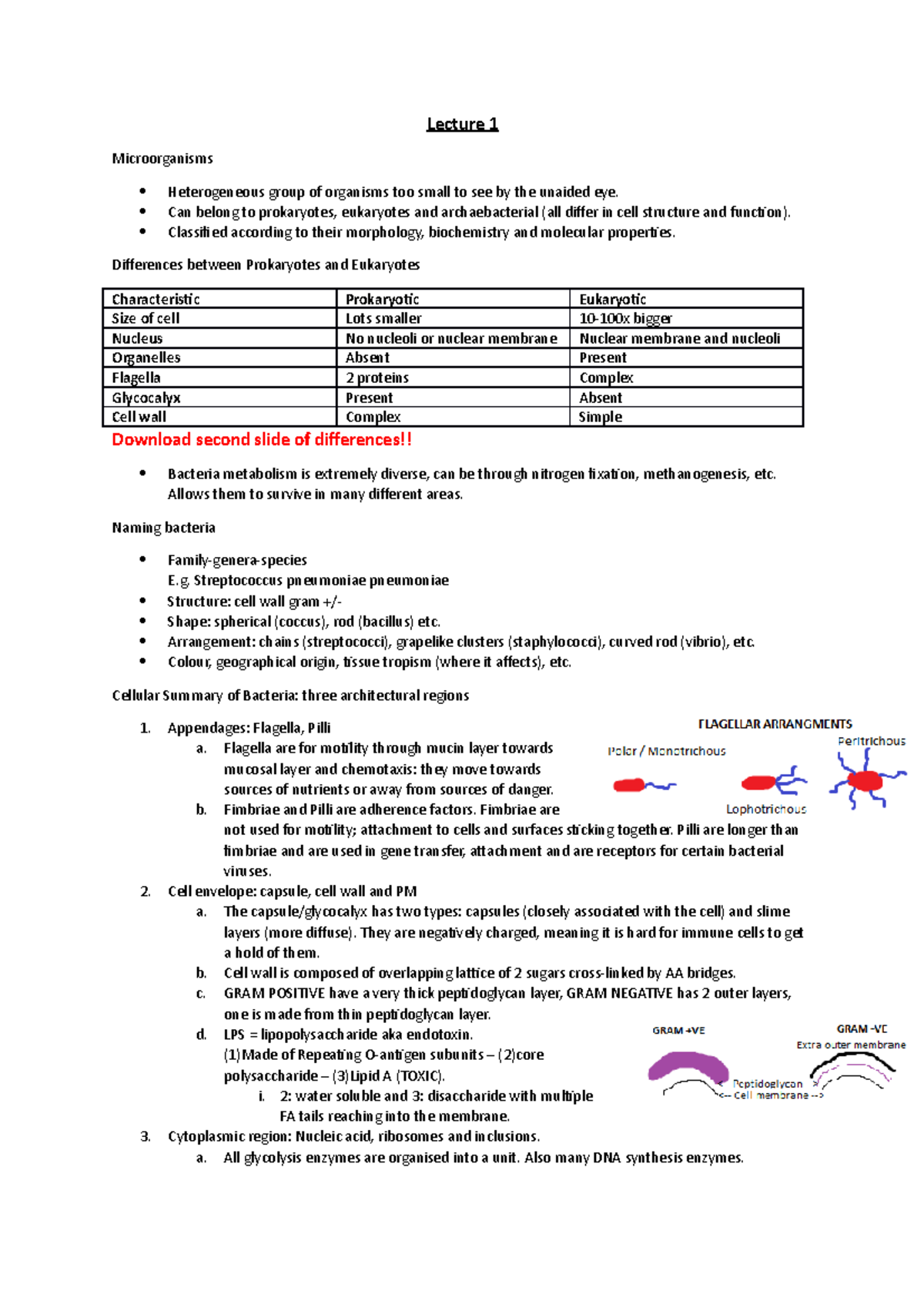 Summary - lectures 1-8 - bacteriology - Lecture 1 Microorganisms ...