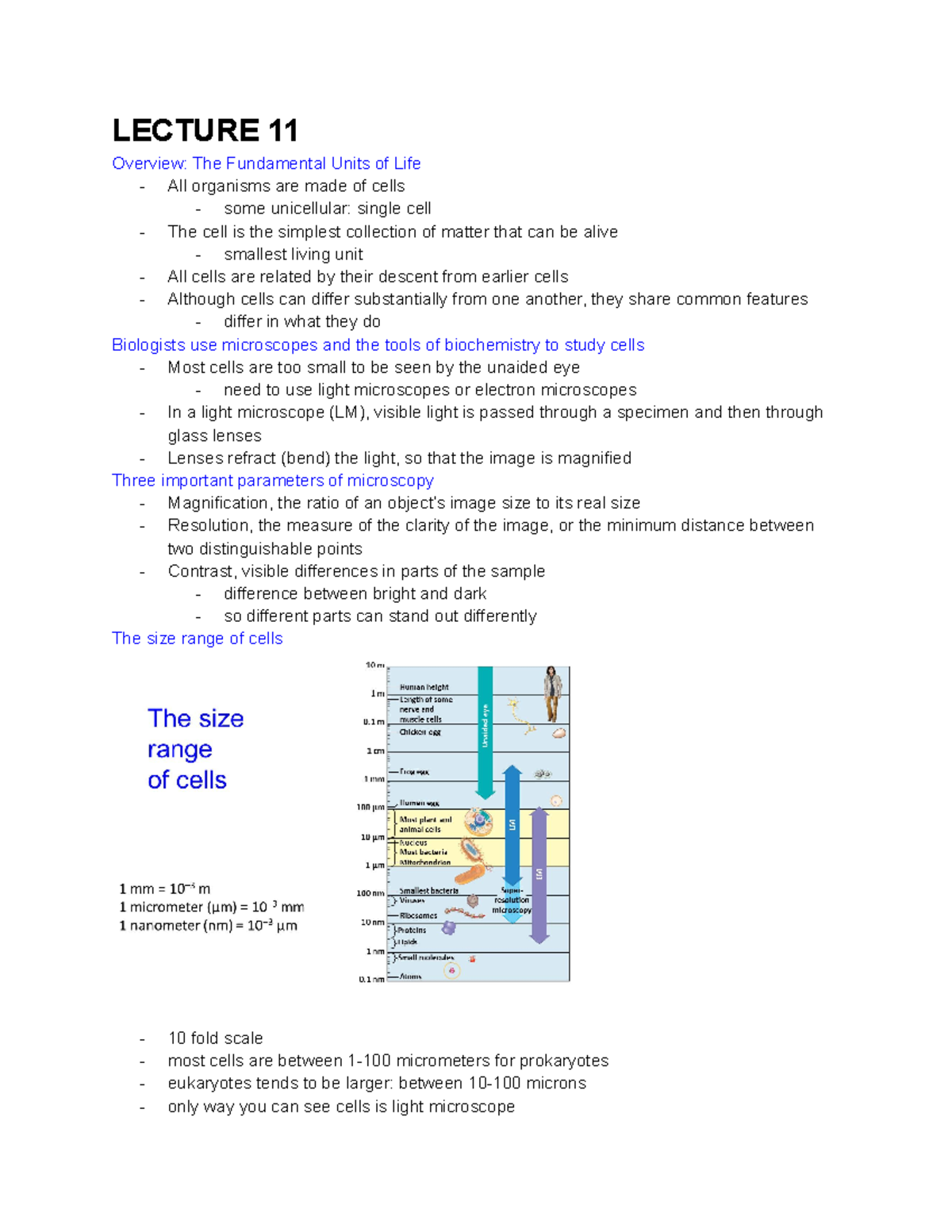 BIO Lecture 11-18 - LECTURE 11 Overview: The Fundamental Units of Life ...