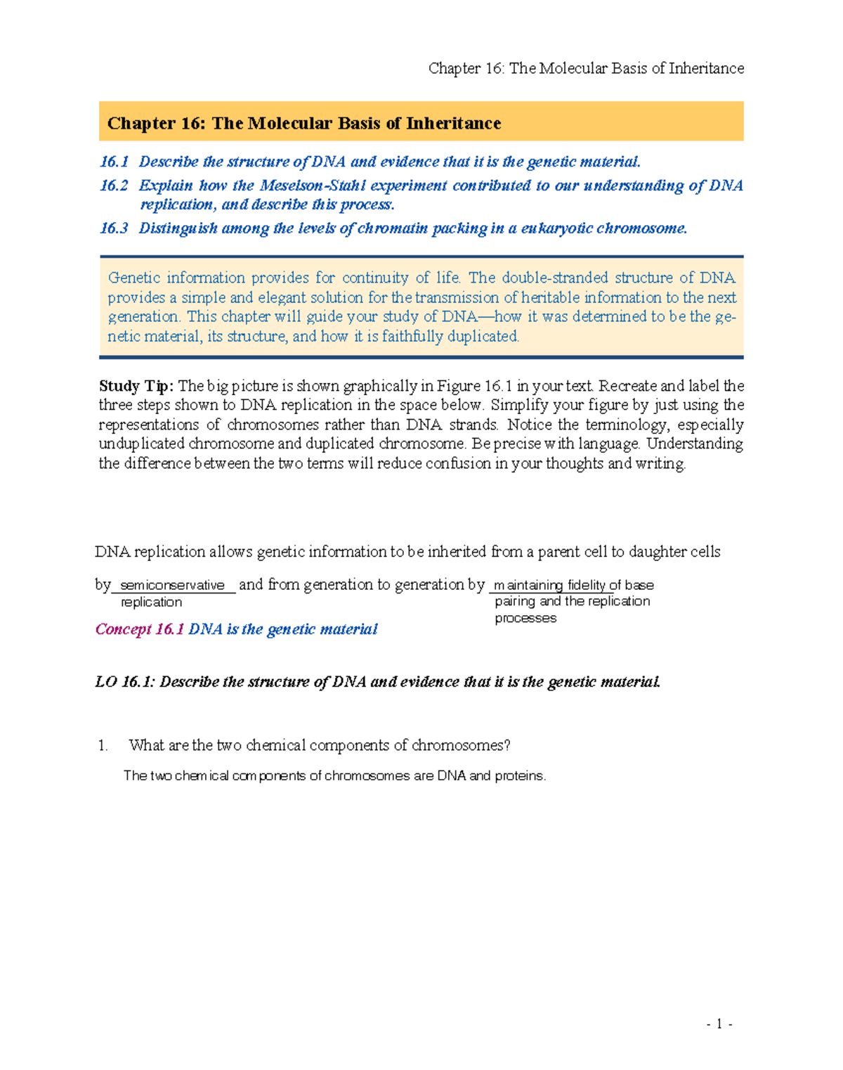 Active Reading Notes 16 Short - Chapter 16: The Molecular Basis of ...
