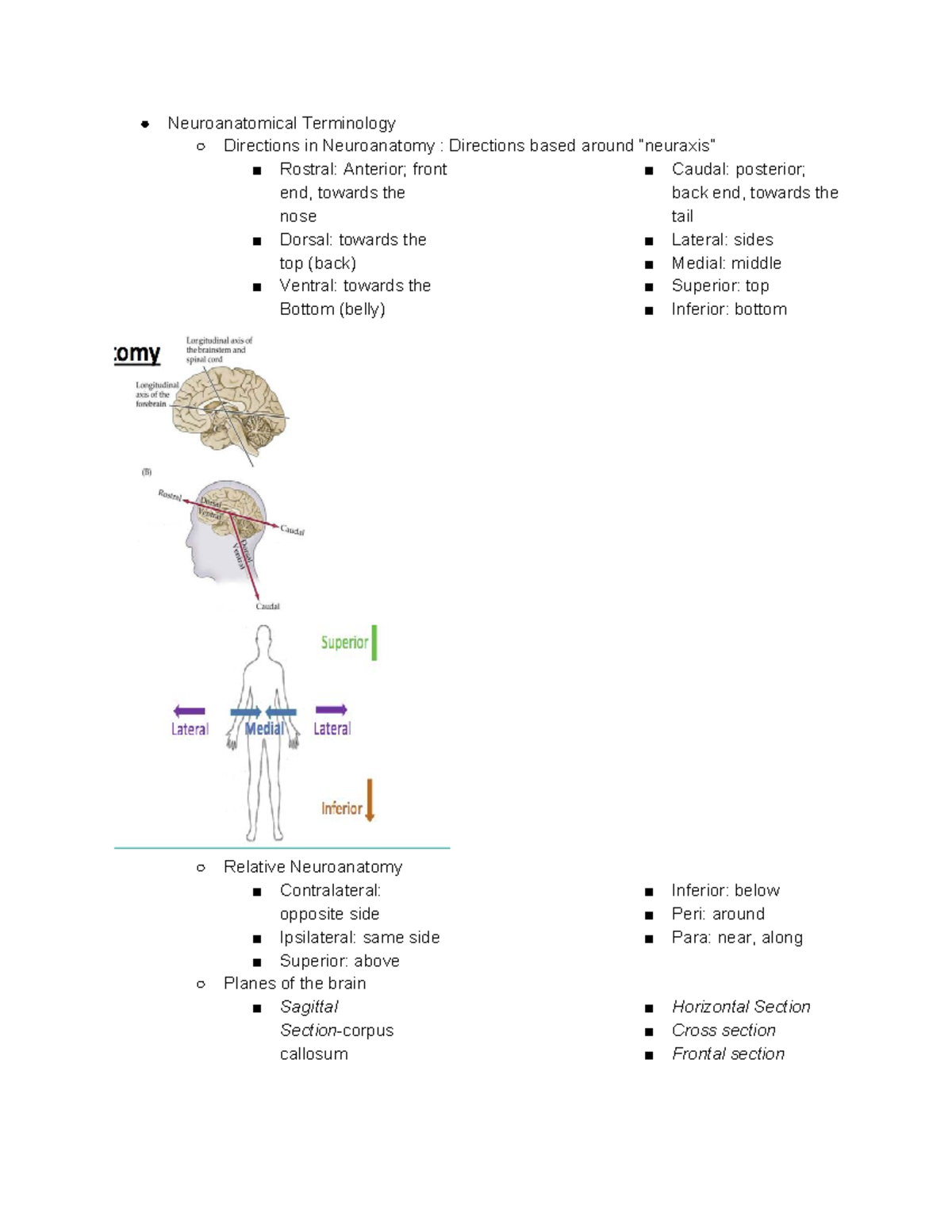 Basic Neuroanatomy - Neuroanatomical Terminology Directions in ...