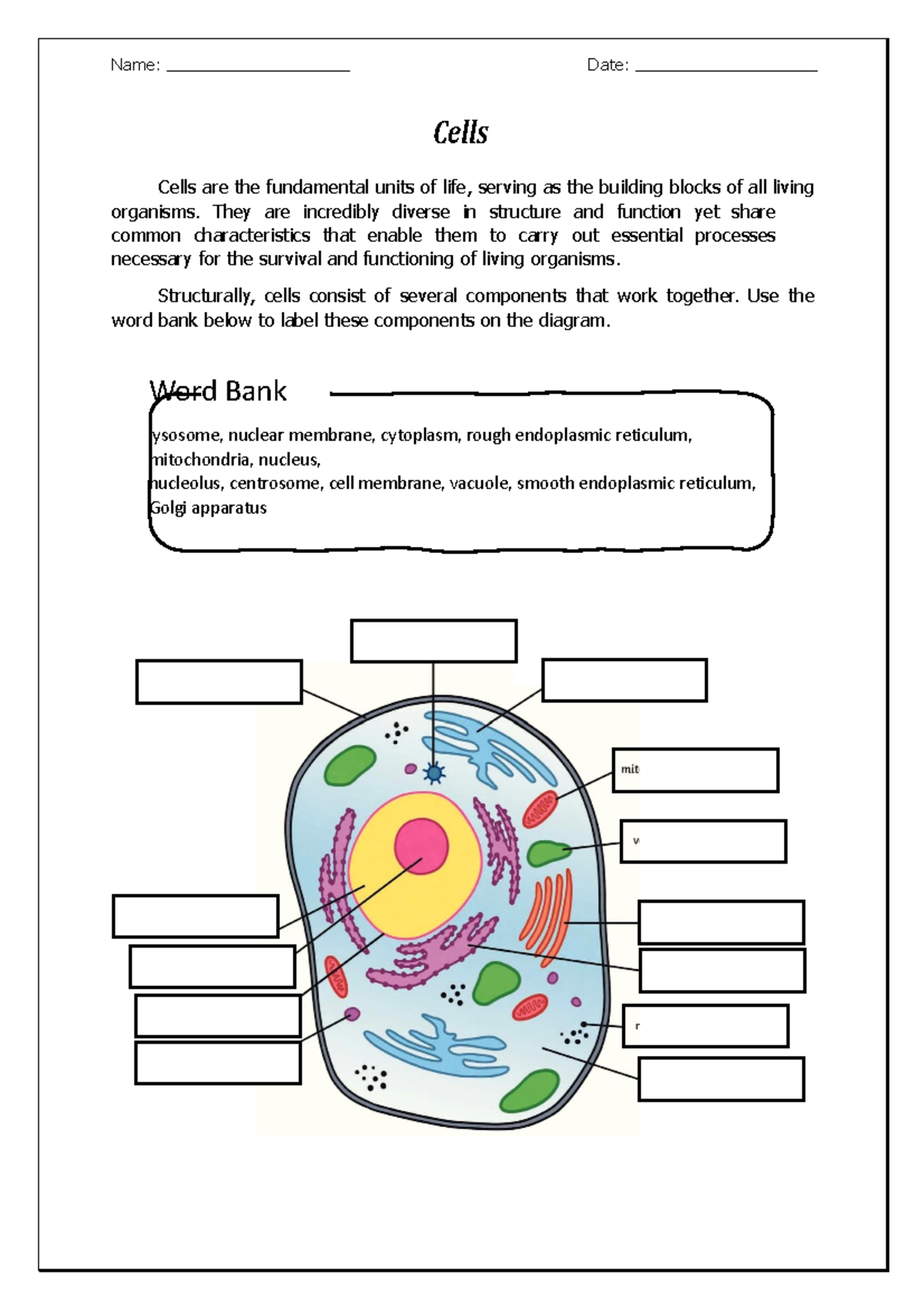 Demo Plantand Animal Cell Structure Withanswers 9760959 - Word Bank ...