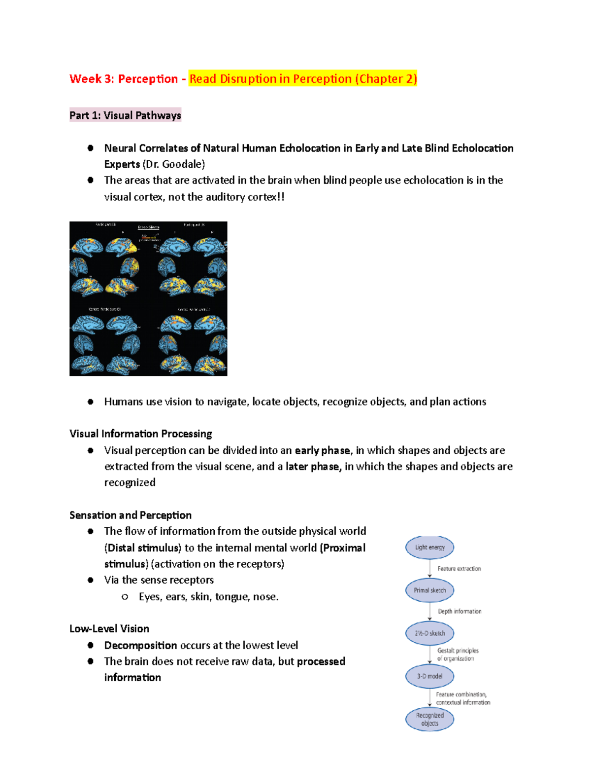 Week 3 Perception - 2021 - Minda - Week 3: Perception - Read Disruption ...