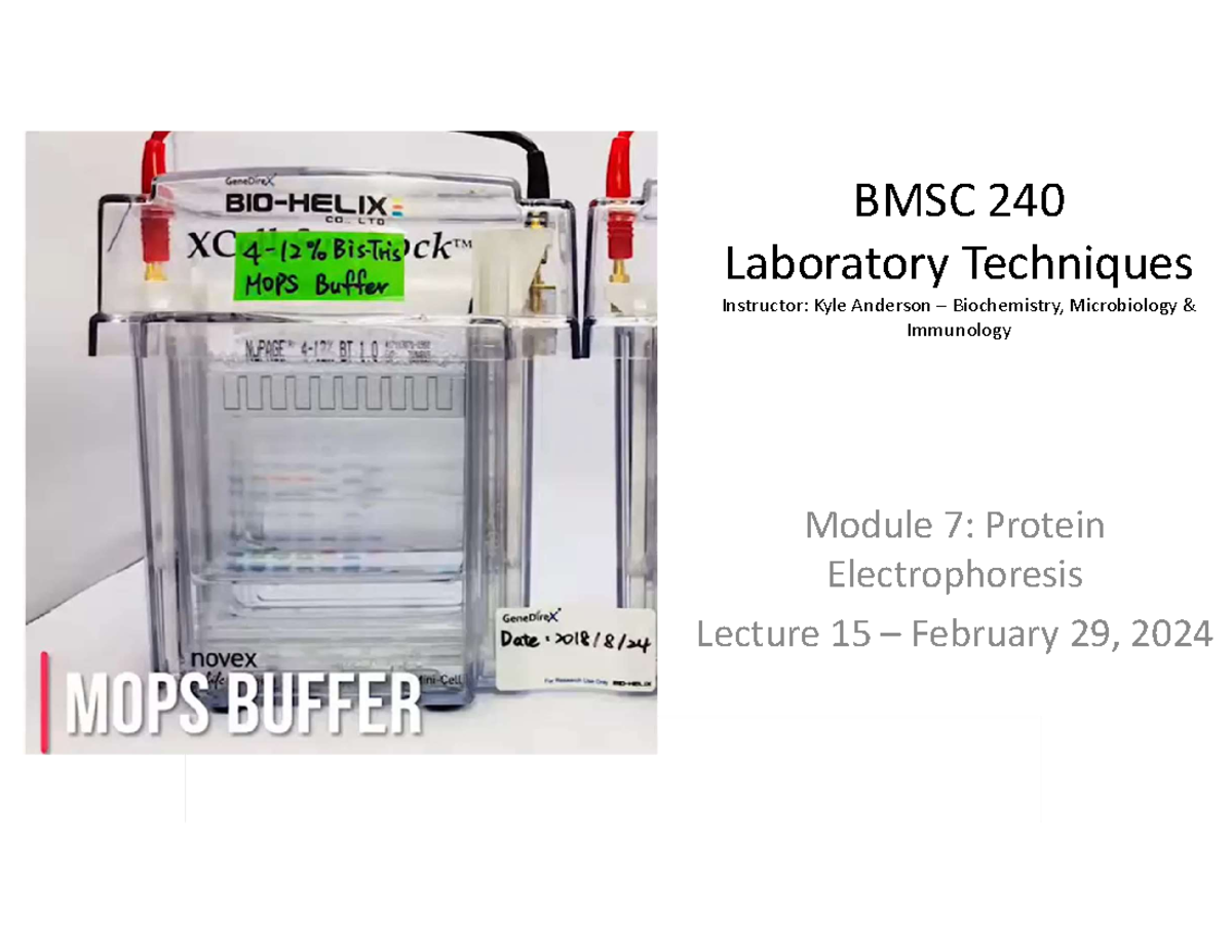 240 L15 done - L15 done - BMSC 240 Laboratory Techniques Instructor: Kyle Anderson ...