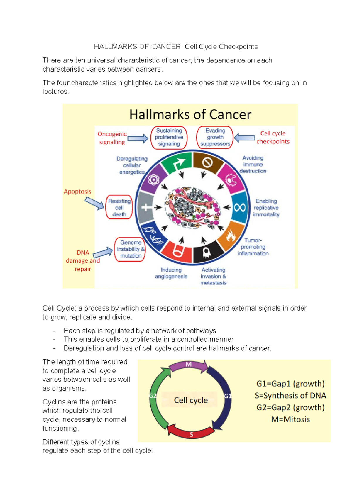 Hallmarks OF Cancer 1 - Concise notes with any extra information given ...