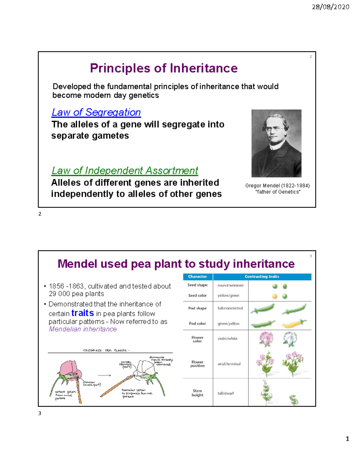 BIO212 - Lec2 - Principles of Inheritance - Principles of Inheritance Developed the fundamental ...