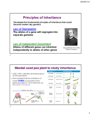 LAB2 Answer Sheet - the lab exercise - Genetics - Studocu