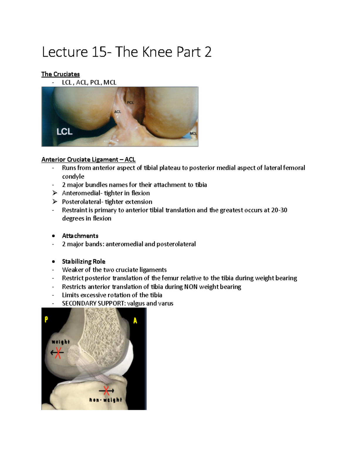 2236- Lecture 15 - In class notes - Lecture 15- The Knee Part 2 The ...