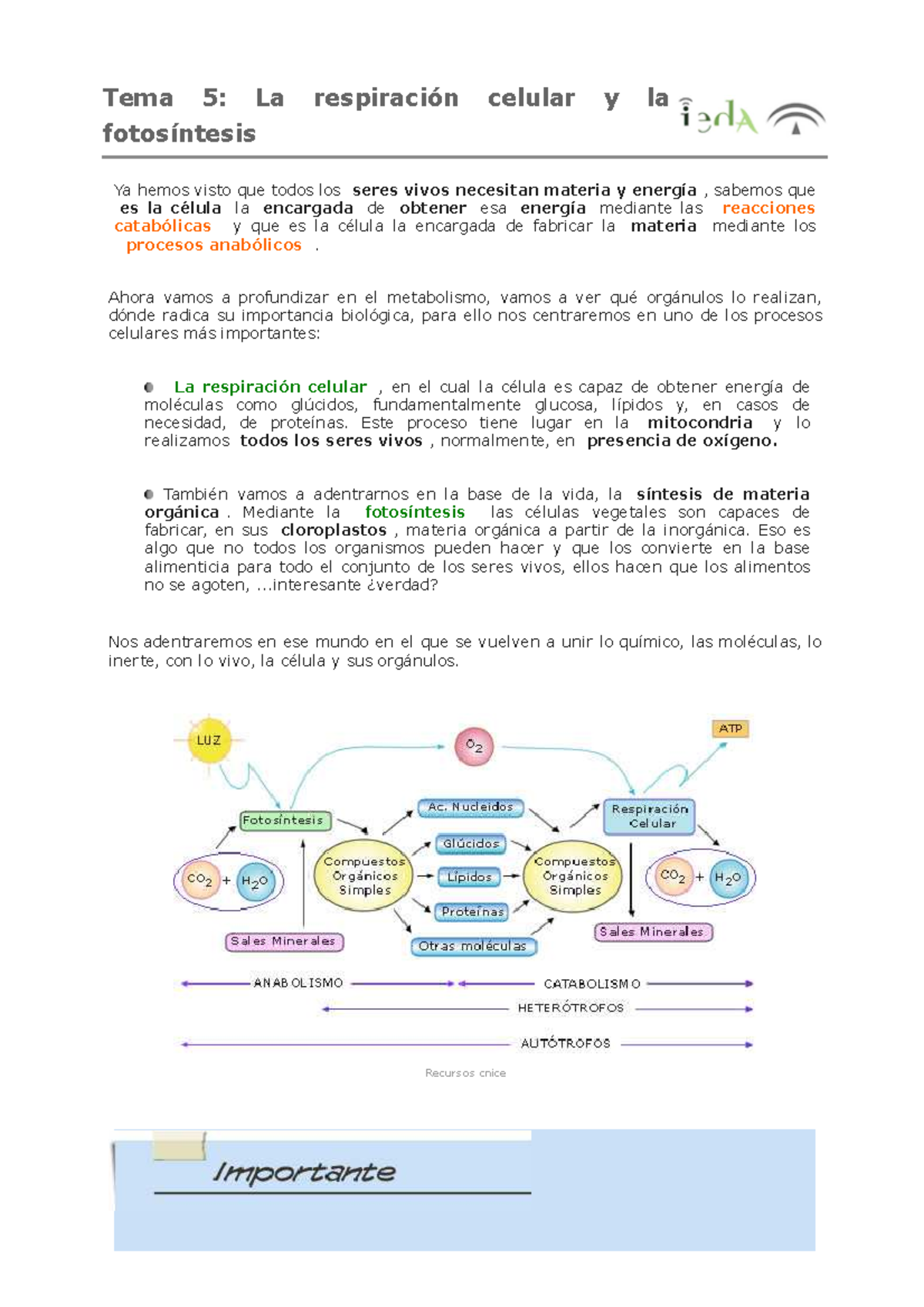 Fotosintesis y respiracion celular guia de apuntes - Tema 5: La ...