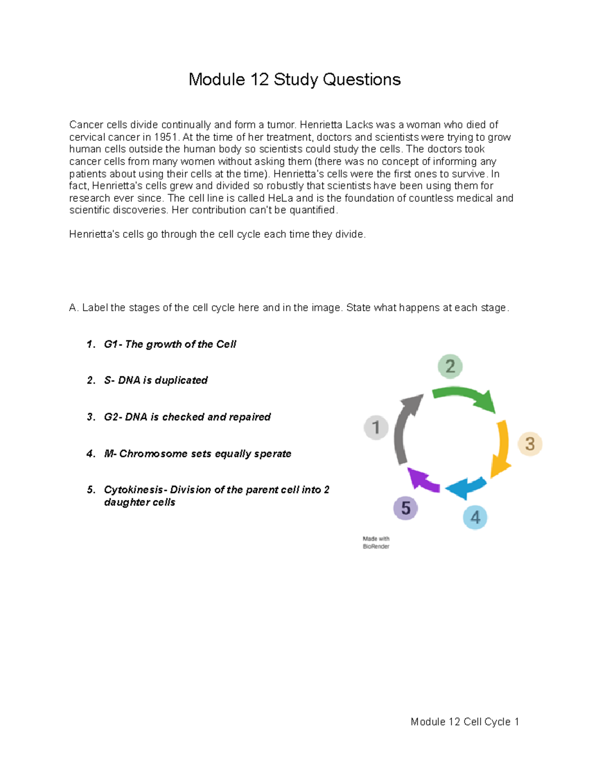 Module 12 Study Questions - Module 12 Study Questions Cancer cells ...