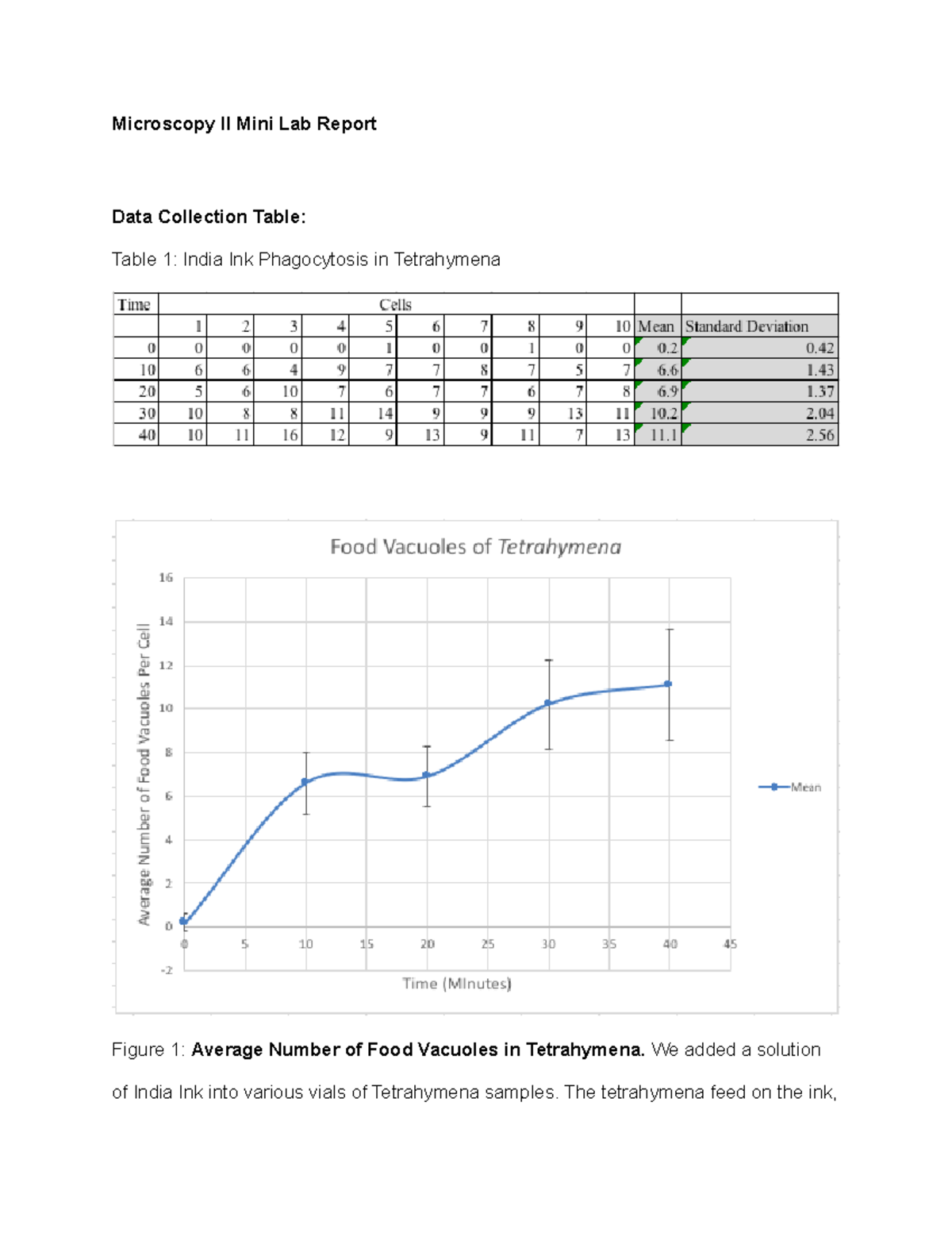 Microscopy II Mini Lab Report - We added a solution of India Ink into ...