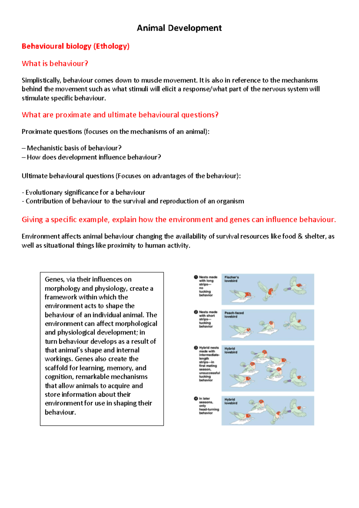 Animal Development (Pdf) - Animal Development Behavioural biology ...