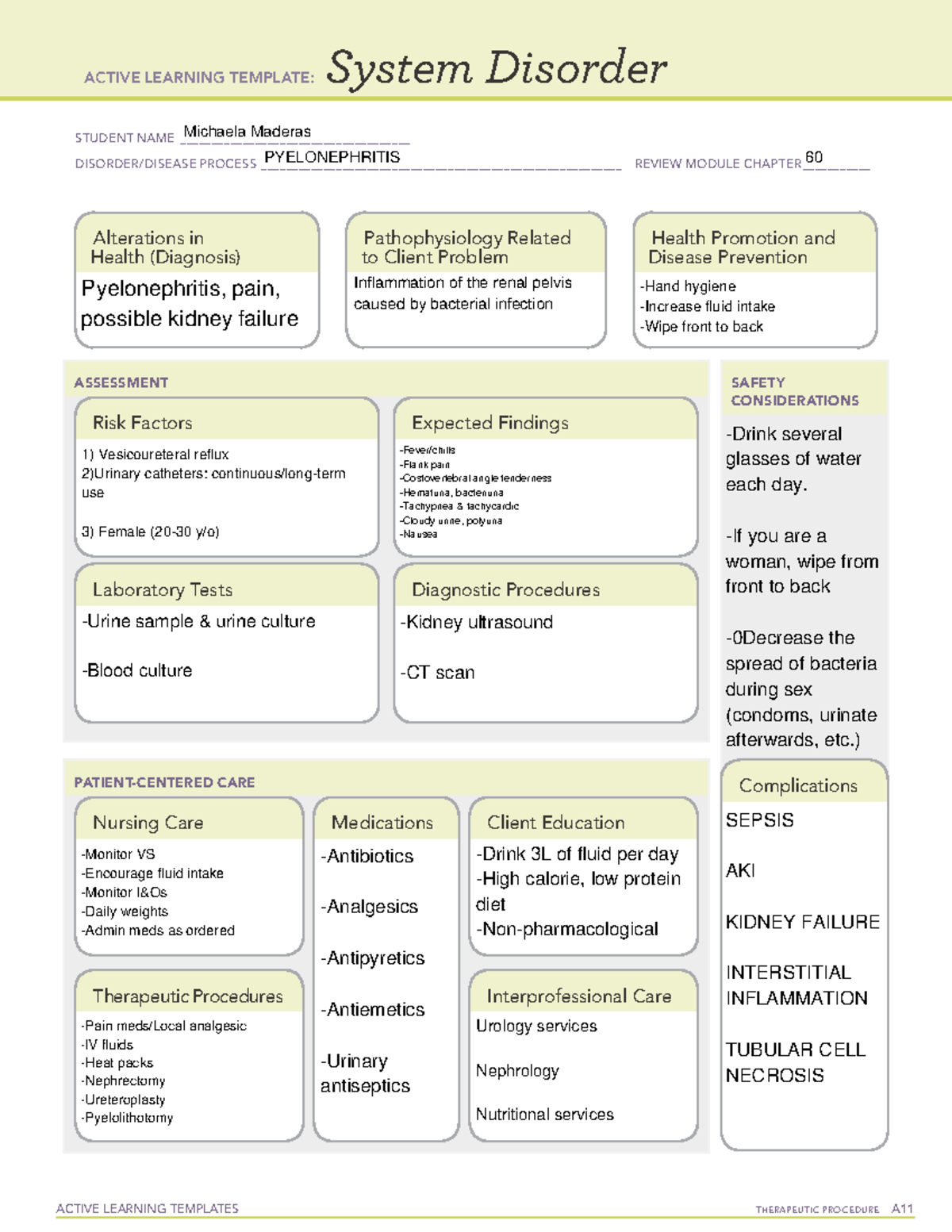Pyelonephritis -System Disorder - ACTIVE LEARNING TEMPLATES THERAPEUTIC ...
