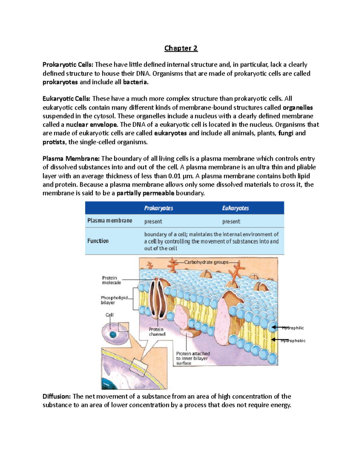 Bio Unit 1 Revision summary notes including cells - Chapter 2 ...