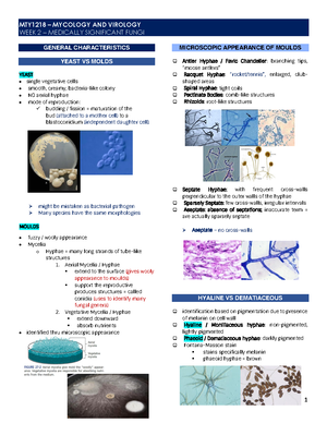 Disease - Microbiology and parasitology notes - Disease Causative s/s ...