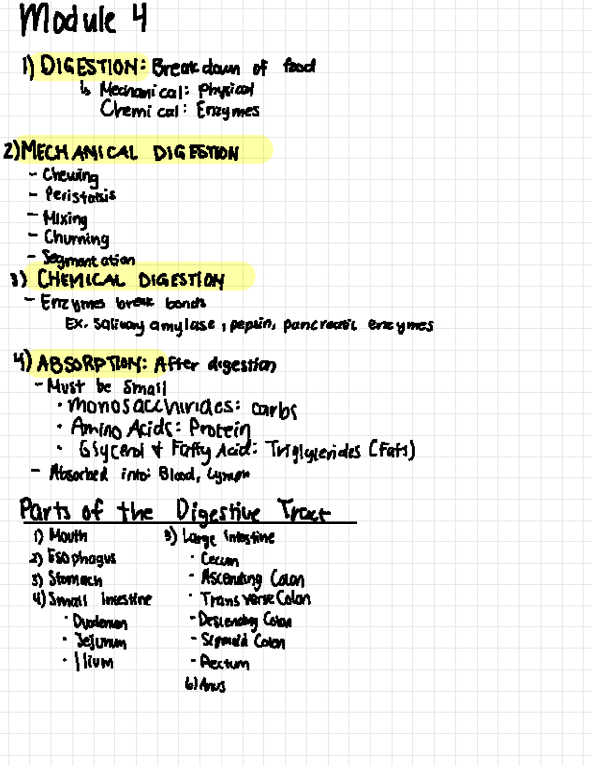 Module 4 - Toni Gist - Module 4 1) DIGESTION : Breakdown of food ↳ ...