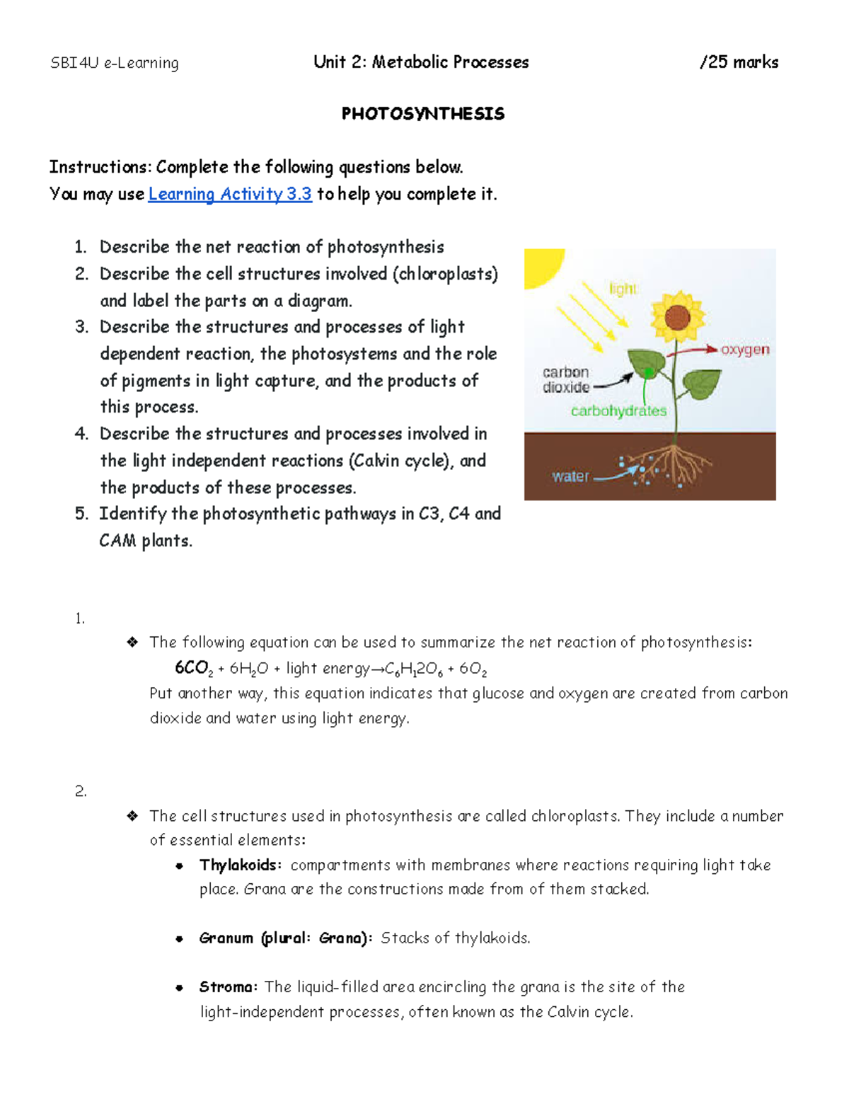 Metabolic Processes - Assignment - SBI4U e-Learning Unit 2: Metabolic ...