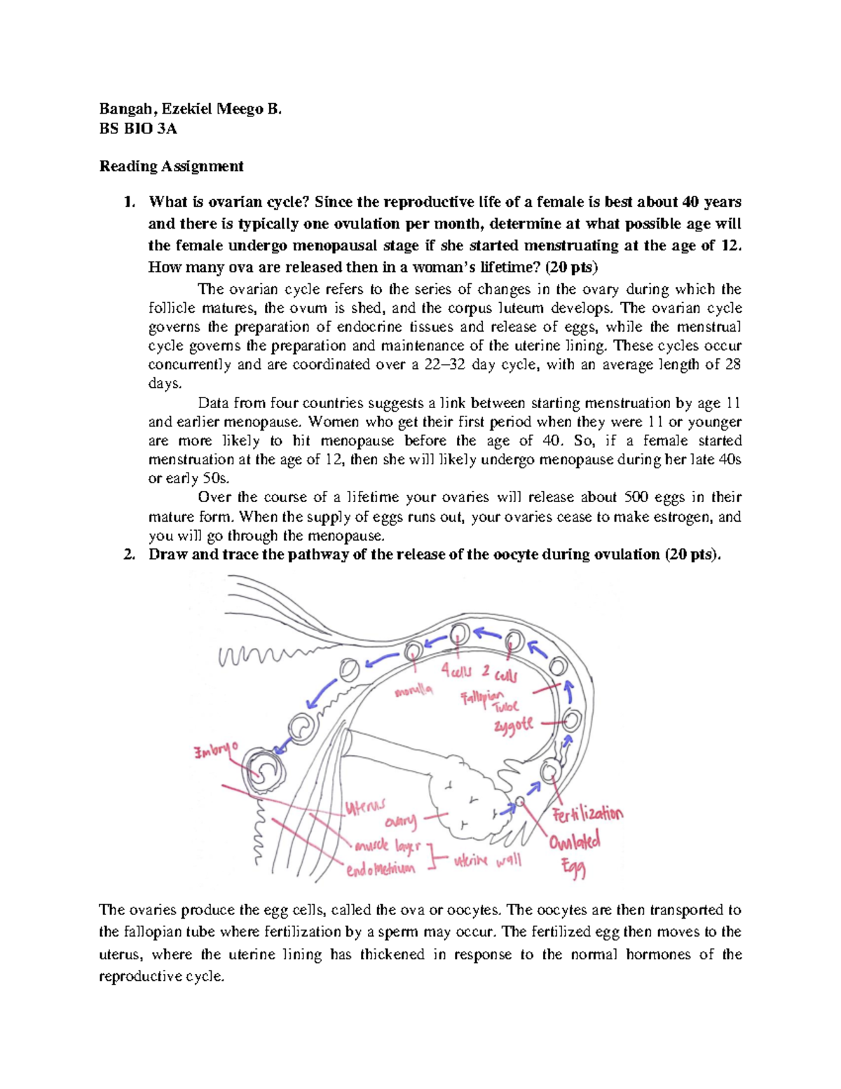 Act 3 - Fertilization - Bangah, Ezekiel Meego B. BS BIO 3A Reading ...