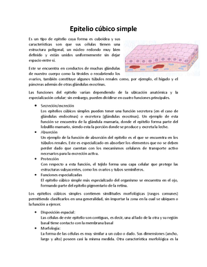 Ross Capítulo 5: Tejido epitelial - Warning: TT: undefined function: 32 - Studocu