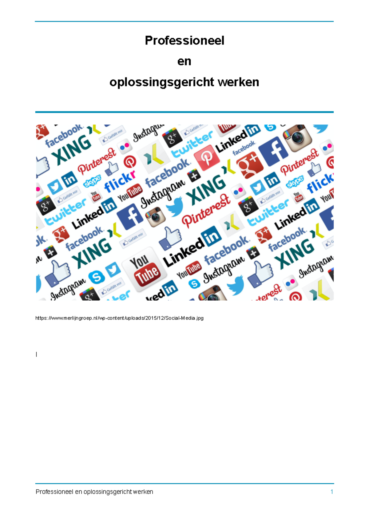 Professioneel en oplossingsgericht werken - Professioneel en ...