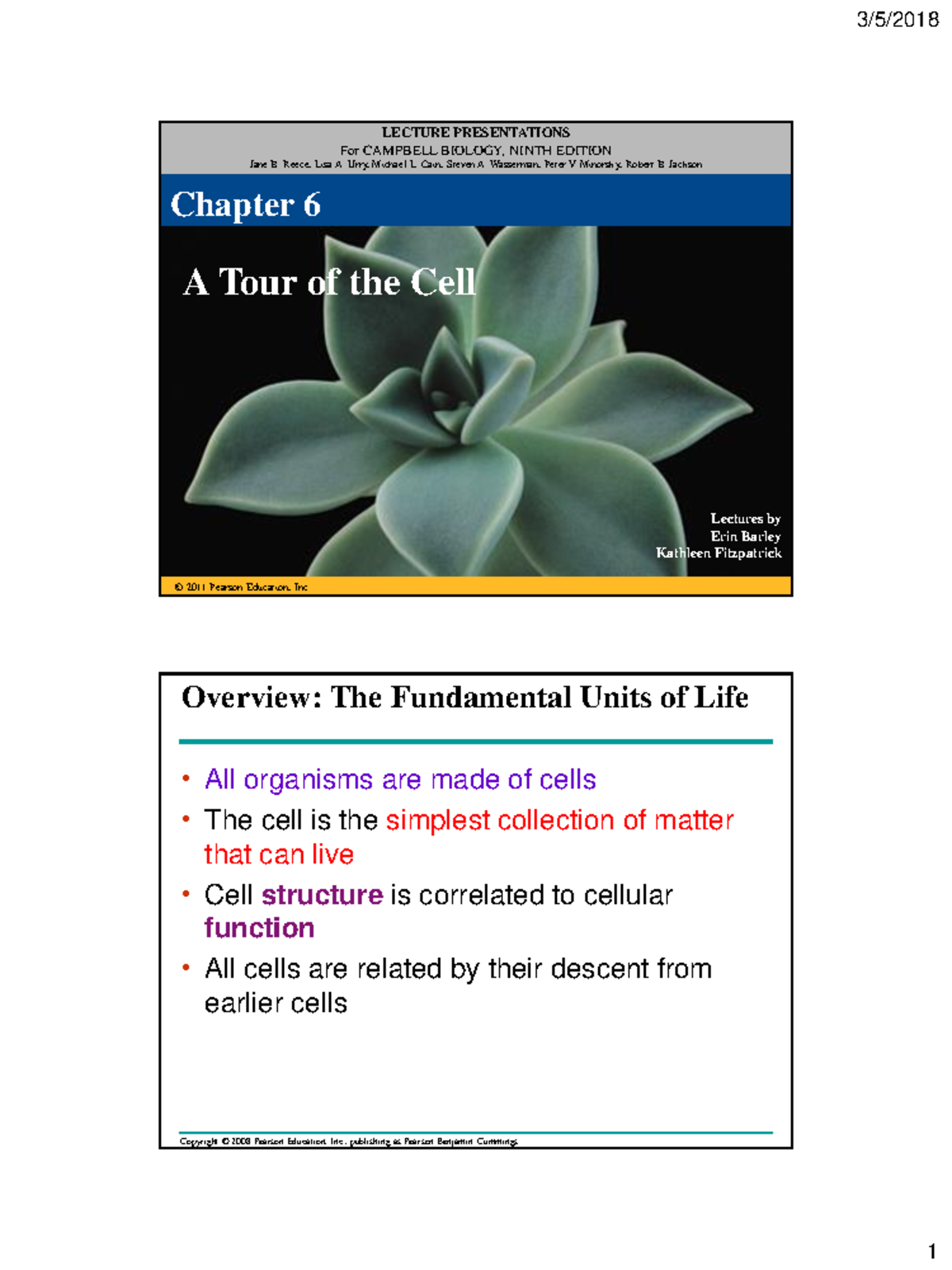نسخة من Ch.6 The cell - lecture notes for biology book - LECTURE ...