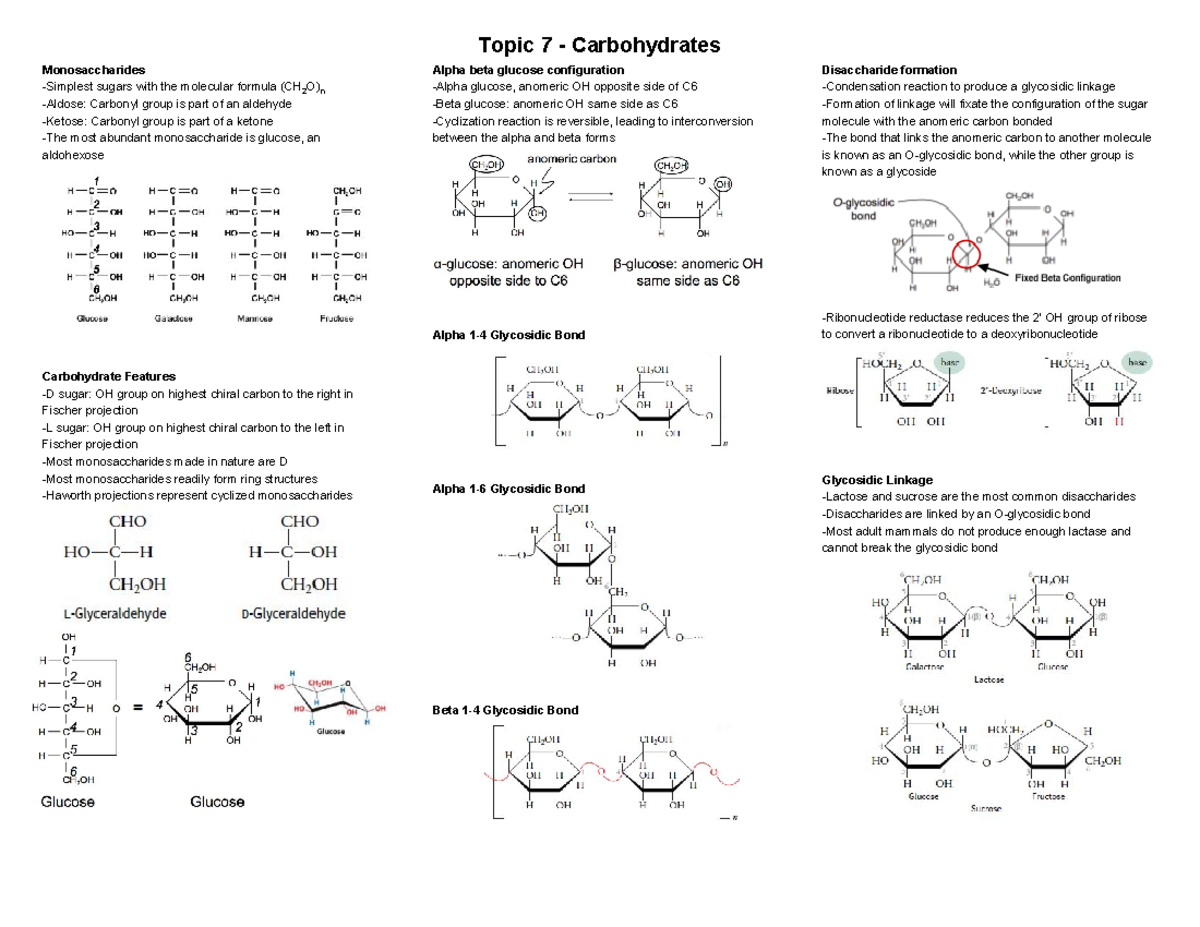 Biochem Cheat Sheet 7 - Topic 7 - Carbohydrates Monosaccharides ...