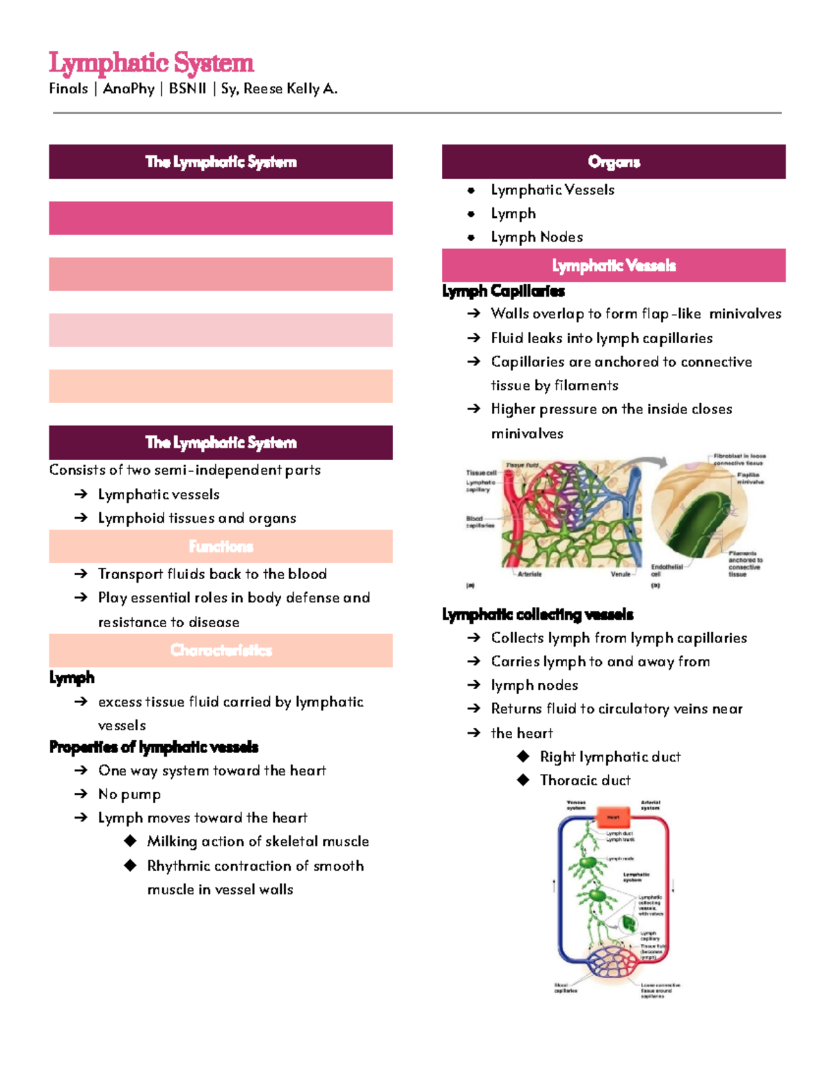 Lymphatic System - Anaphy -Dullin ; Marieb - Lymphatic System Finals ...