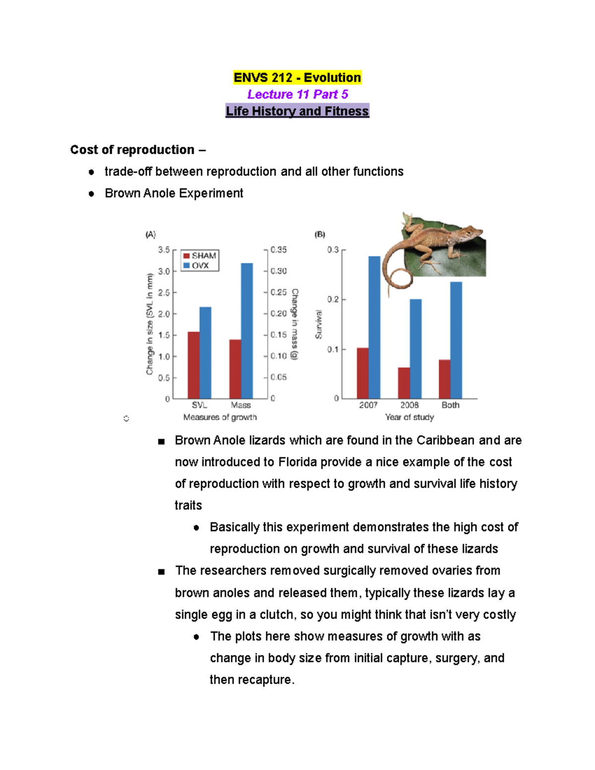 ENVS 212 Lecture 11 Part 5 - Spring 2020 - ENVS 212 - Evolution Lecture 11 Part 5 Life History ...