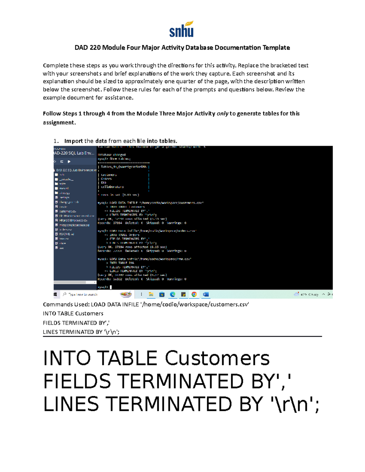 DAD 220 Module Four Major Activity Database Documentation Template - Replace the bracketed text ...