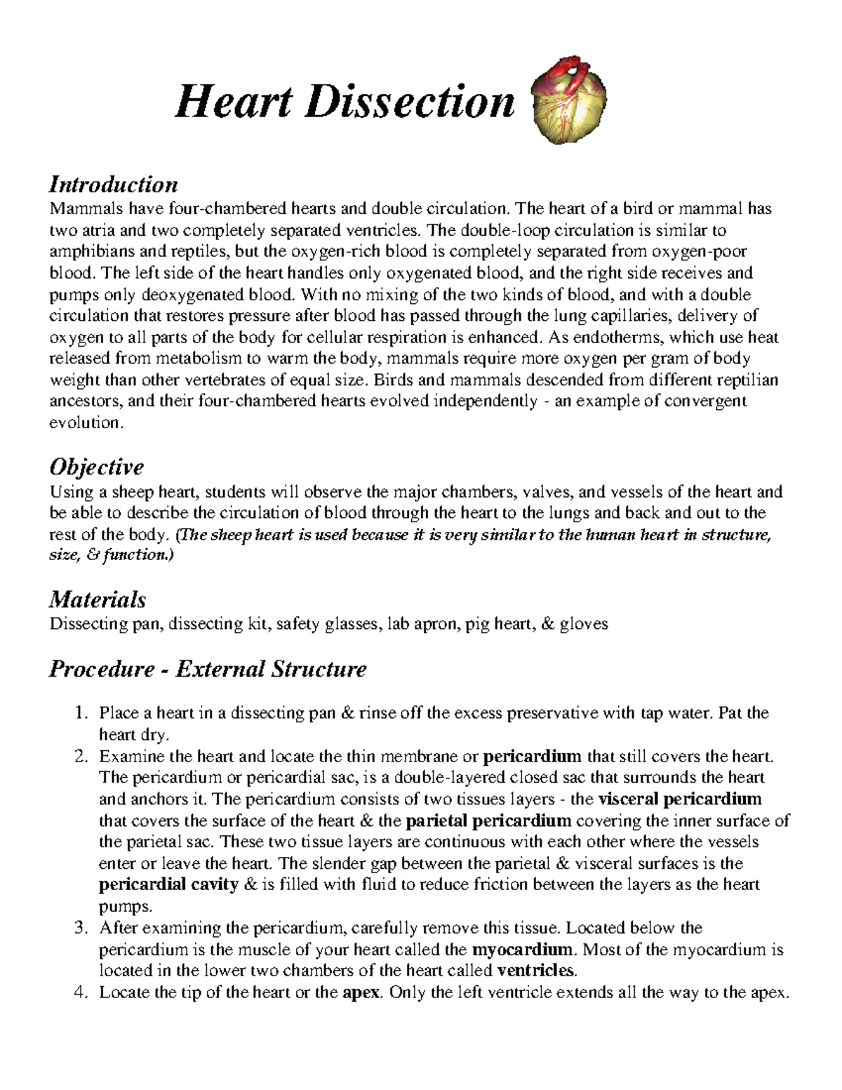 4a Heart Dissection Instructions Heart Dissection Introduction 