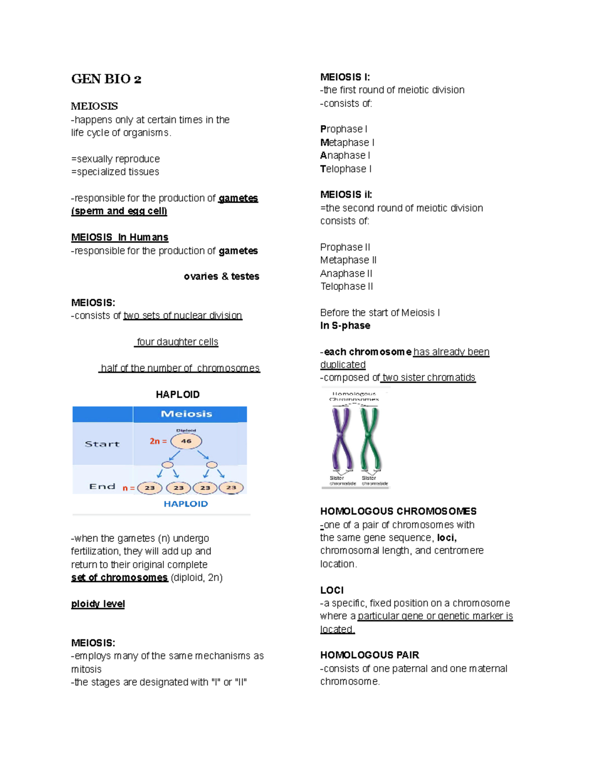 GEN BIO 2 Reviewer - MEIOSIS AND MITOSIS - GEN BIO 2 MEIOSIS -happens only at certain times in ...