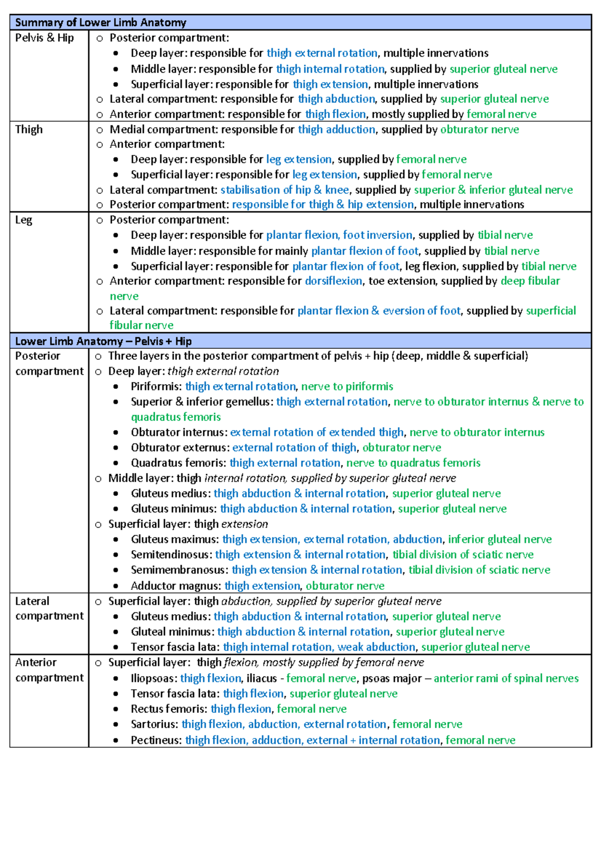 Summary of Lower Limb Anatomy - Summary of Lower Limb Anatomy Pelvis ...