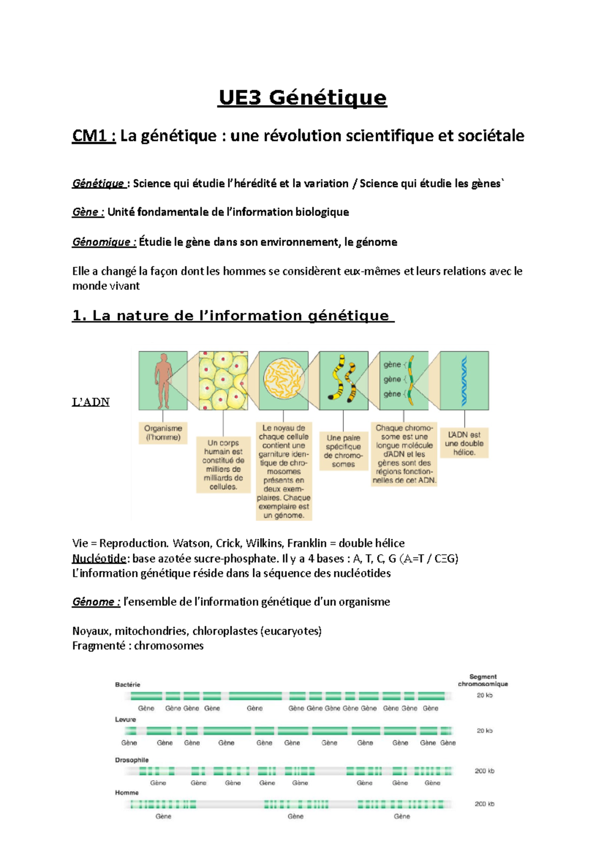 Cours Génétique CM1 - UE3 Génétique CM1 : La génétique : une révolution ...